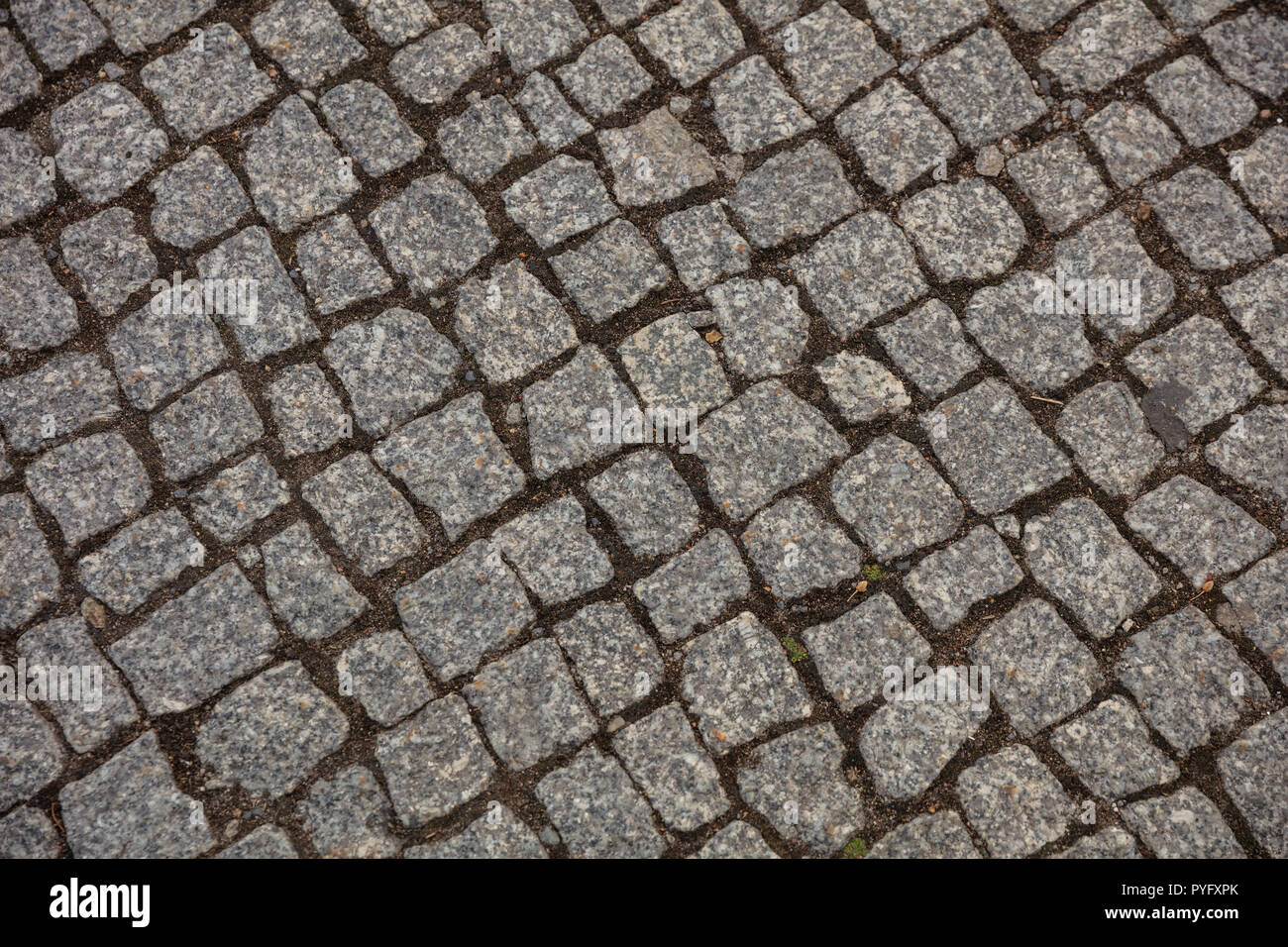 Cobblestone Street Texture Seamless
