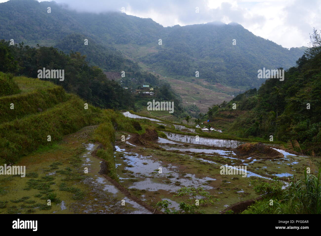 Ifugao rice terraces hi-res stock photography and images - Alamy