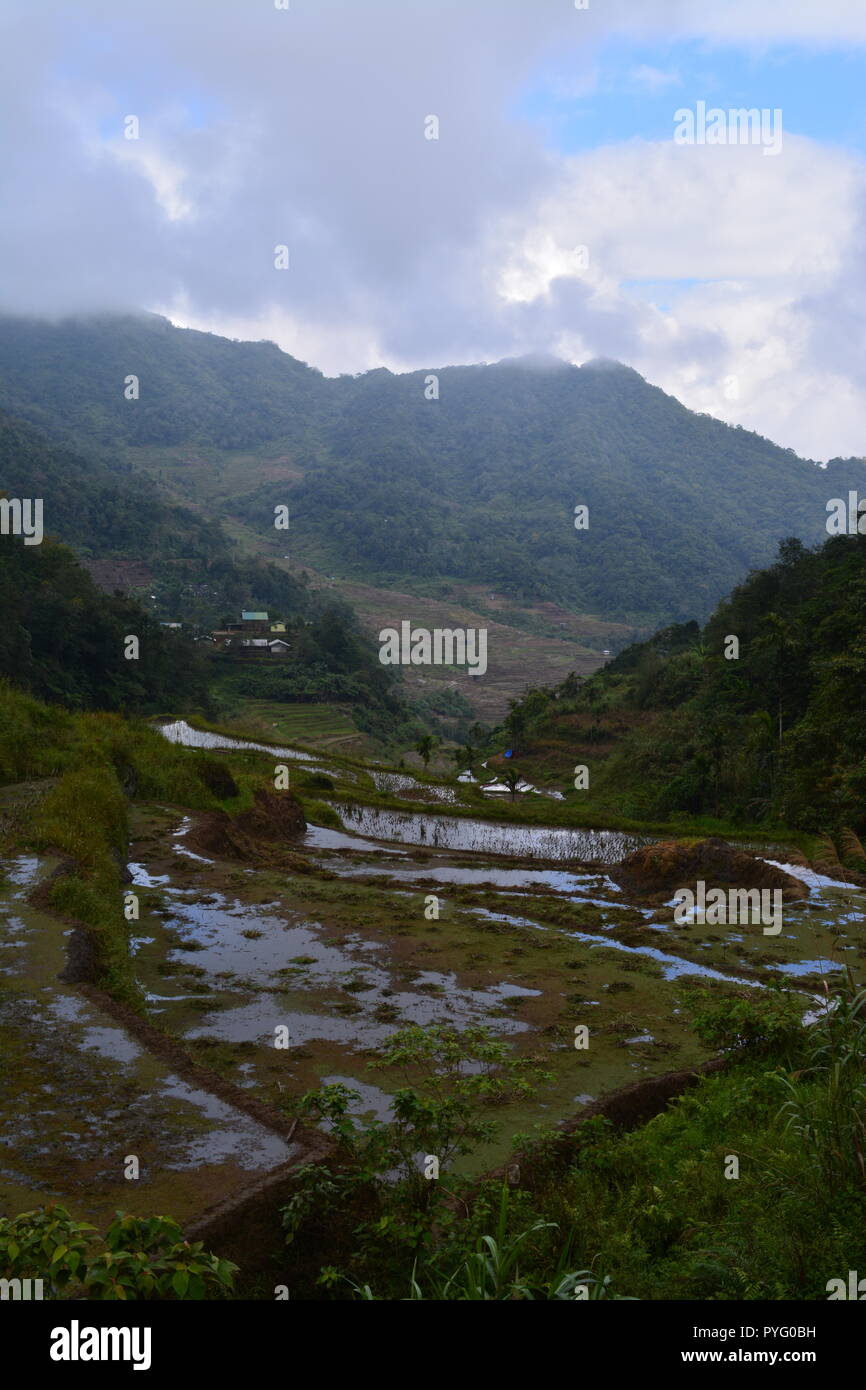 Ifugao rice terraces hi-res stock photography and images - Alamy