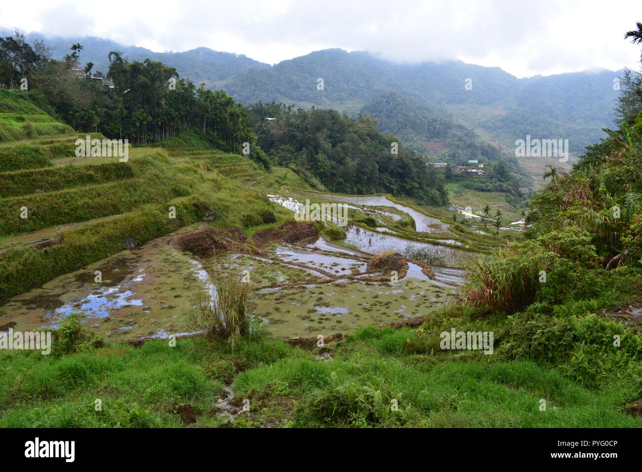 Ifugao rice terraces hi-res stock photography and images - Alamy
