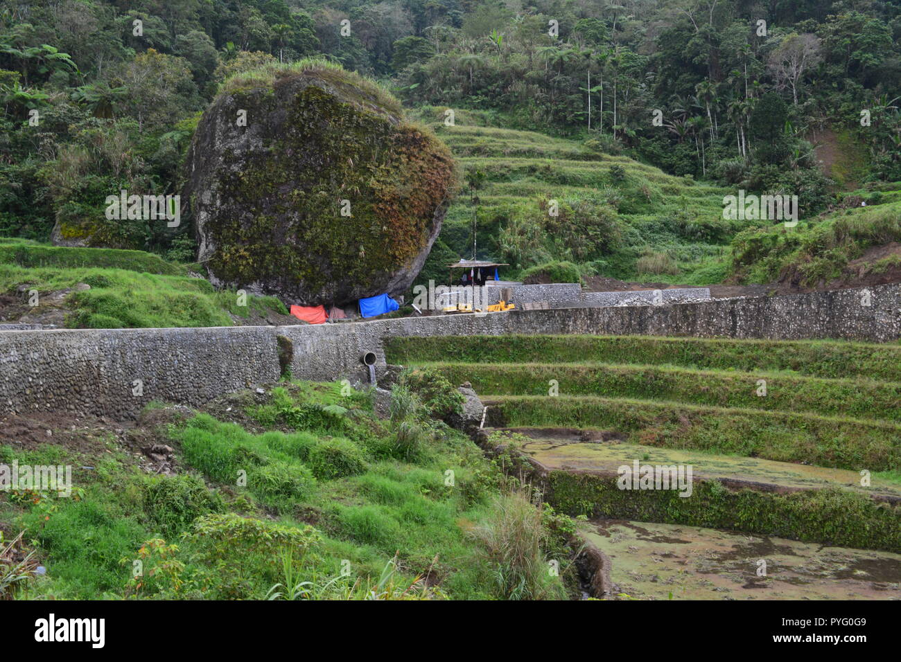 Rice Terraces North Luzon Philippines High Resolution Stock Photography ...