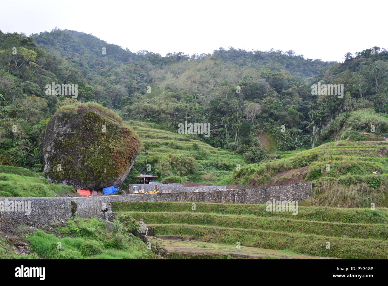 Rice Terraces North Luzon Philippines High Resolution Stock Photography ...