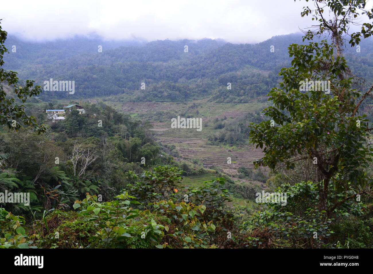 Kiangan High Resolution Stock Photography and Images - Alamy