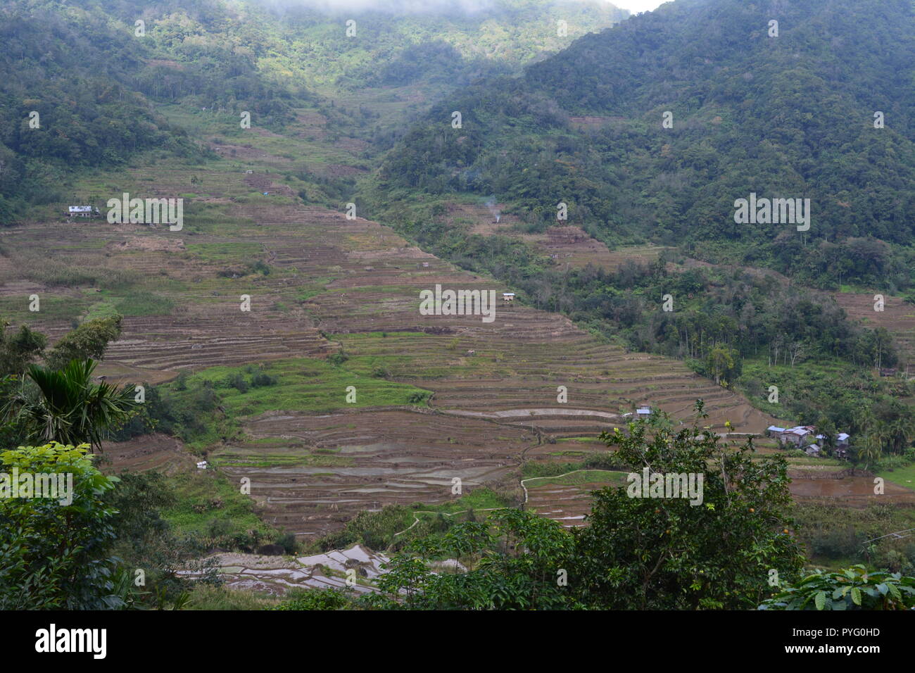 Kiangan High Resolution Stock Photography and Images - Alamy