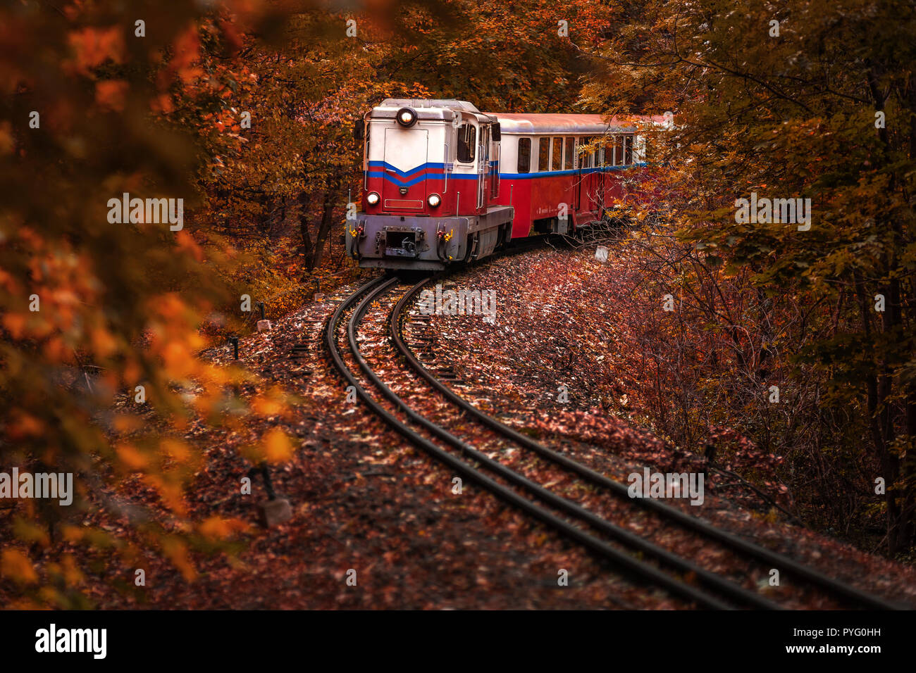 Budapest, Hungary - Beautiful autumn forest with foliage and old ...