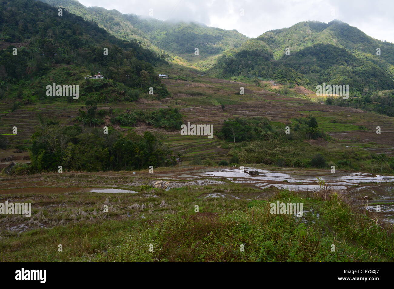 Kiangan High Resolution Stock Photography and Images - Alamy