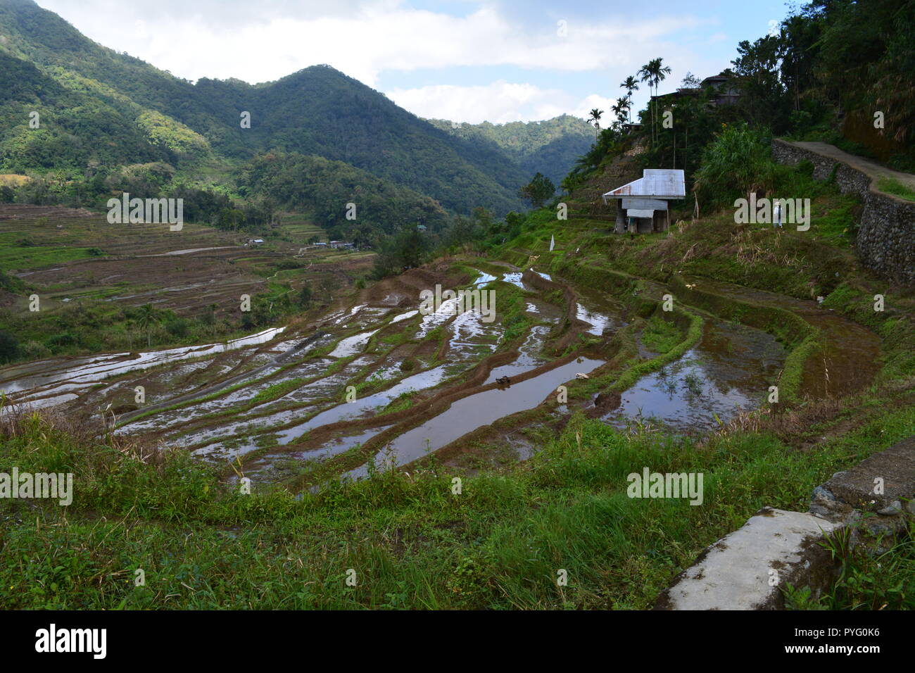 Kiangan High Resolution Stock Photography and Images - Alamy