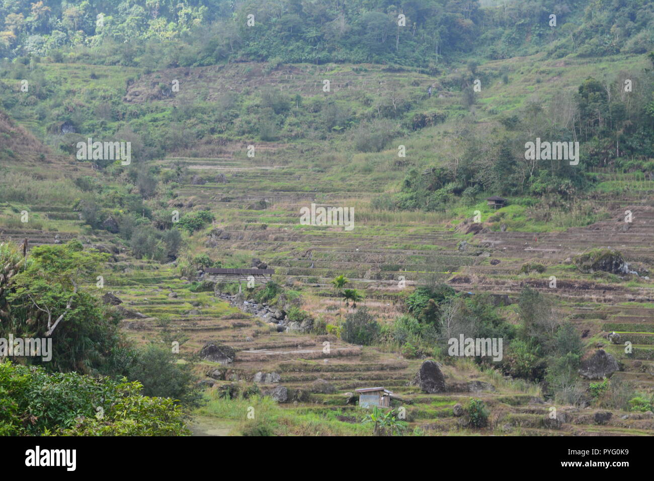 Kiangan High Resolution Stock Photography and Images - Alamy