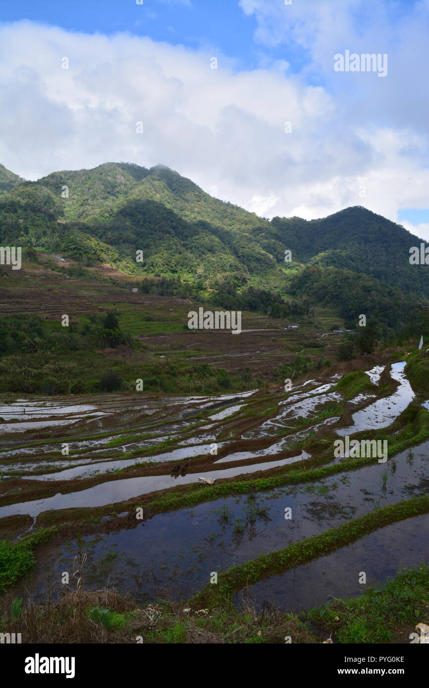 Kiangan High Resolution Stock Photography and Images - Alamy