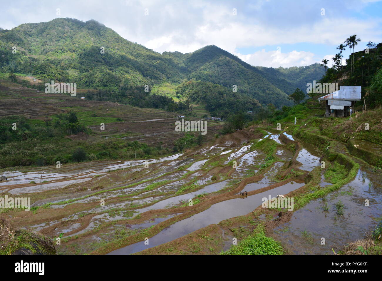 Kiangan High Resolution Stock Photography and Images - Alamy