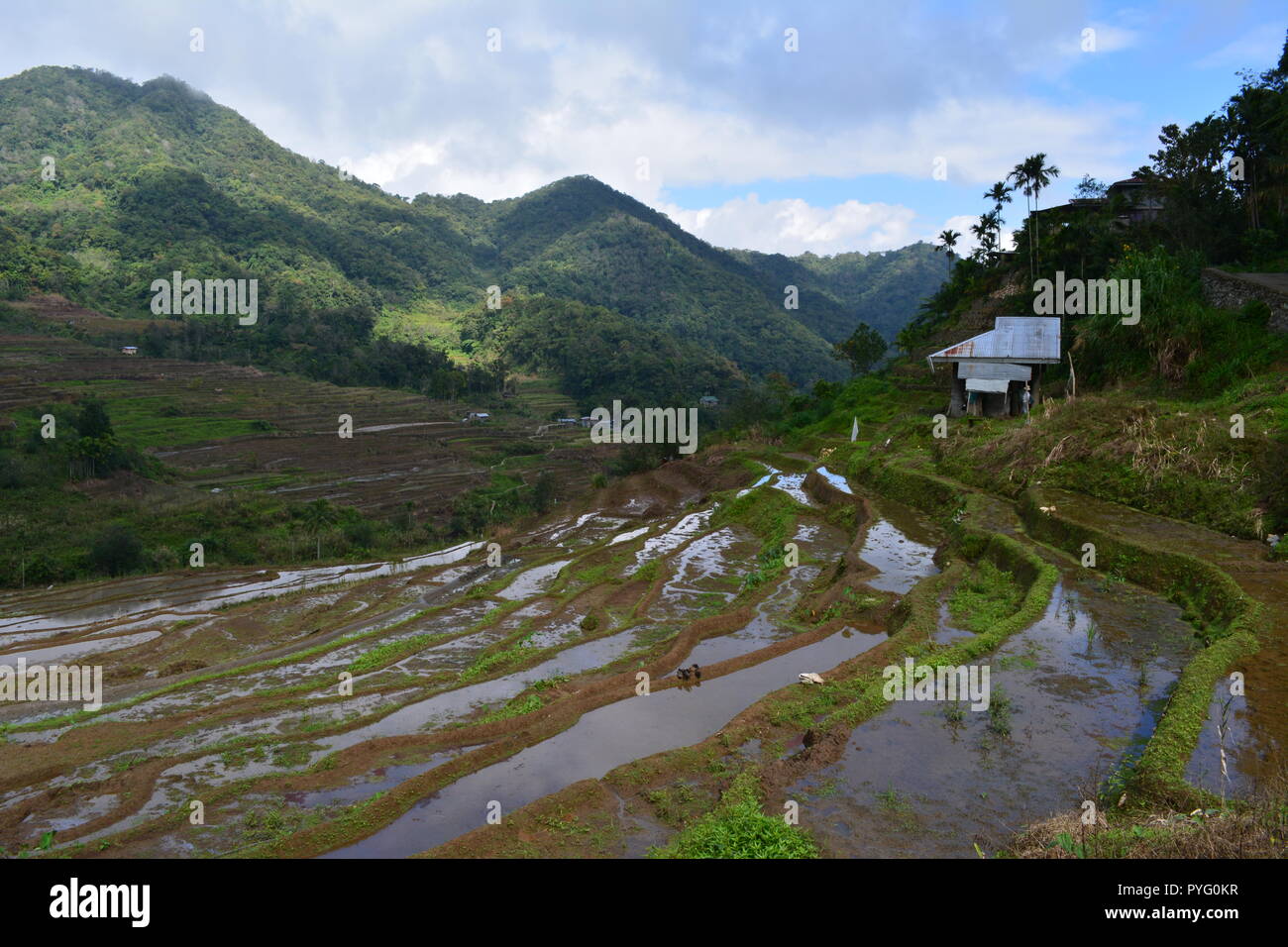 Kiangan High Resolution Stock Photography and Images - Alamy