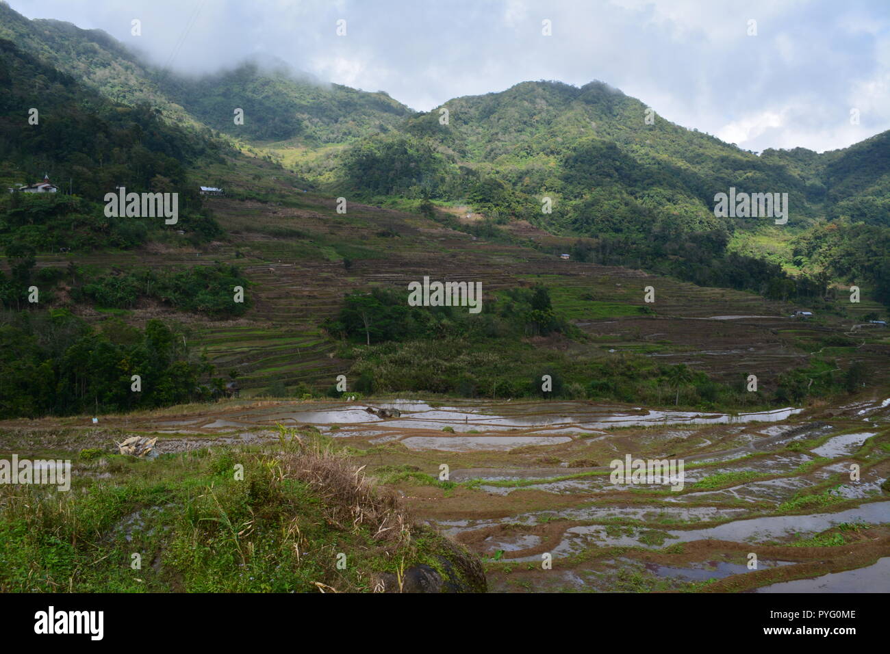 Kiangan High Resolution Stock Photography and Images - Alamy