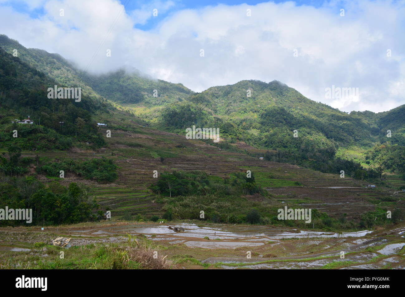 Kiangan High Resolution Stock Photography and Images - Alamy