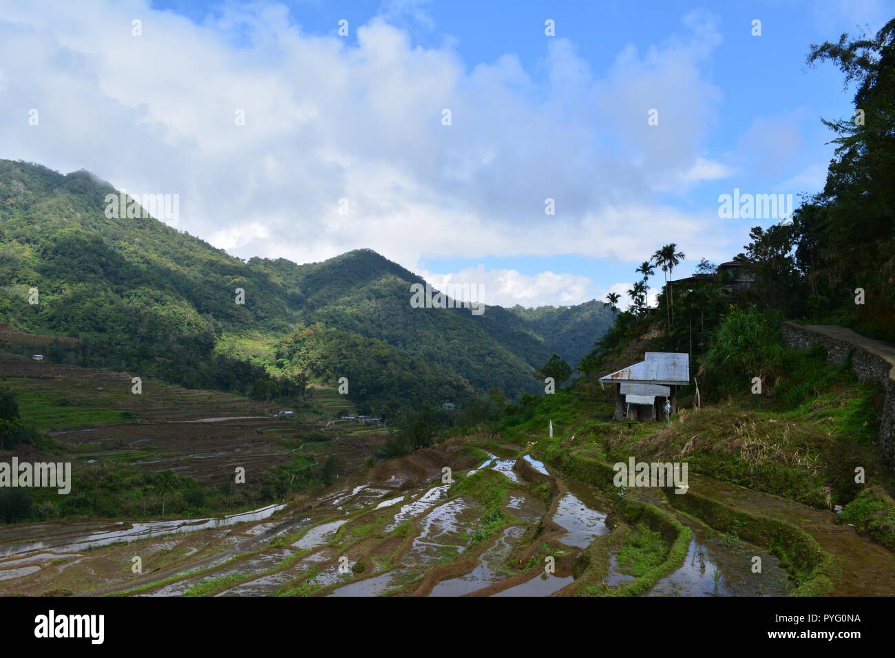 Kiangan High Resolution Stock Photography and Images - Alamy