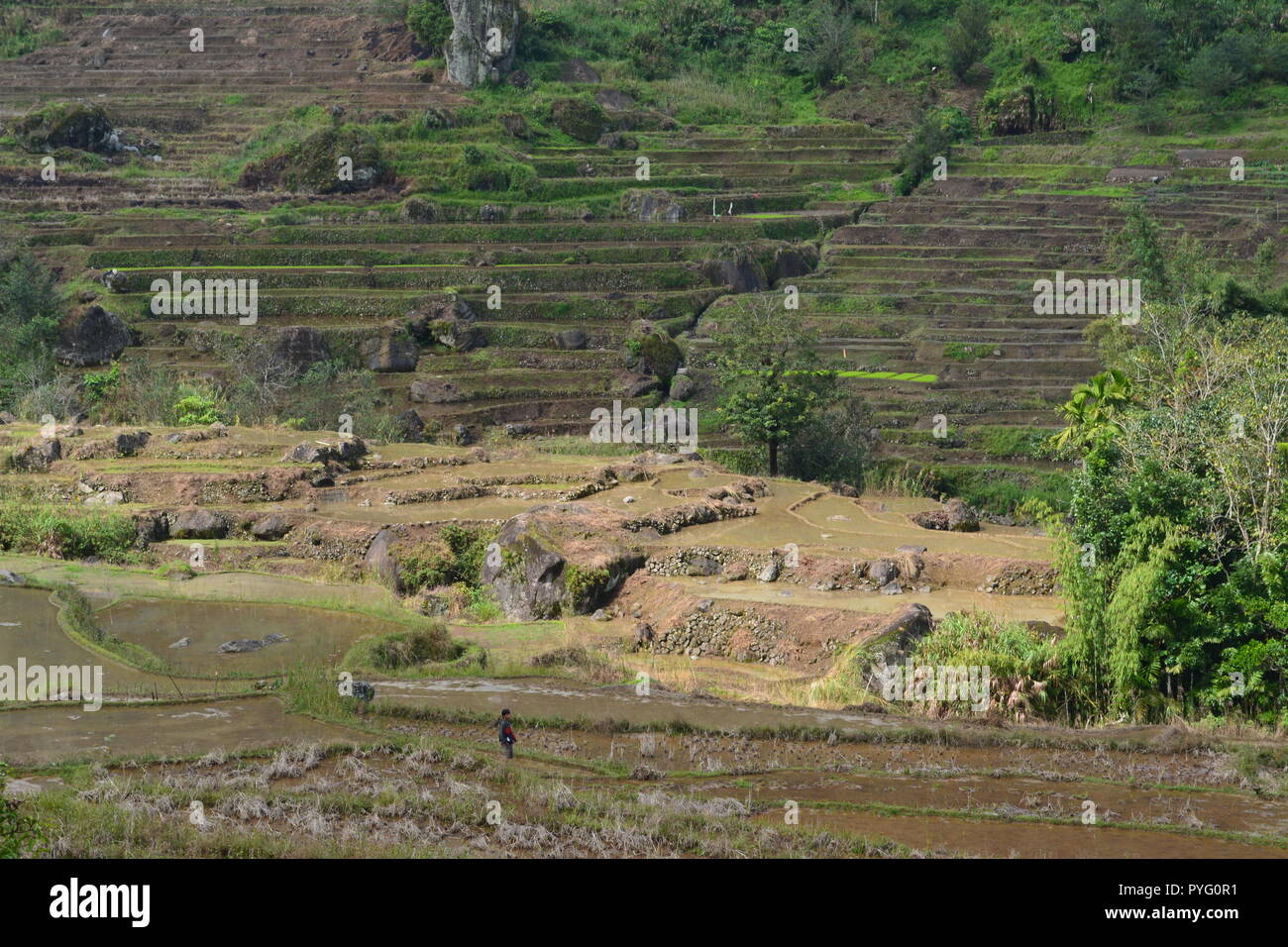 Kiangan High Resolution Stock Photography and Images - Alamy