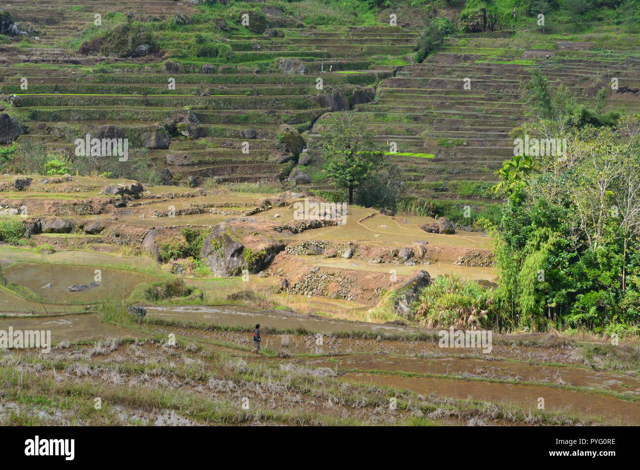 Kiangan High Resolution Stock Photography and Images - Alamy