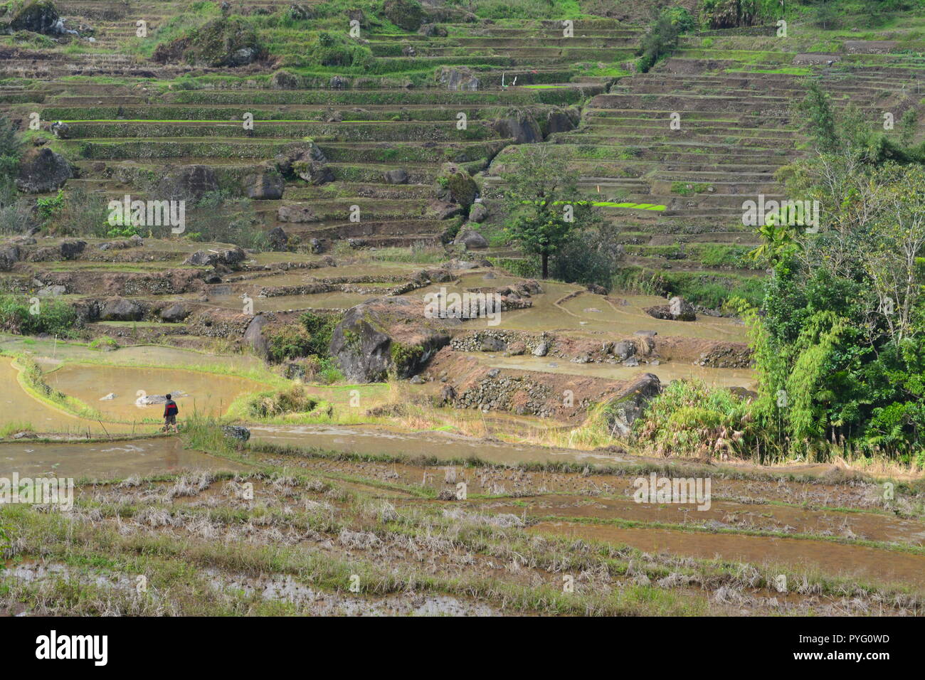 Kiangan High Resolution Stock Photography and Images - Alamy