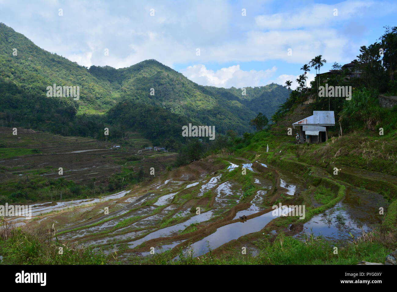 Kiangan High Resolution Stock Photography and Images - Alamy