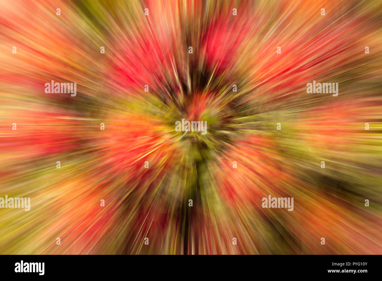 Abstract background from nature using motion, radial or zoom blur ...