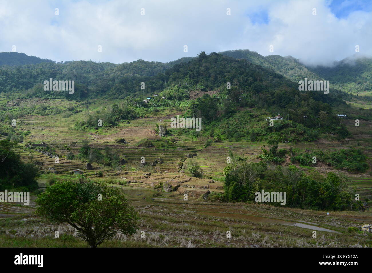 Kiangan High Resolution Stock Photography and Images - Alamy