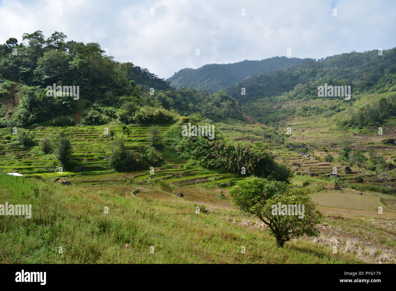 Kiangan High Resolution Stock Photography and Images - Alamy