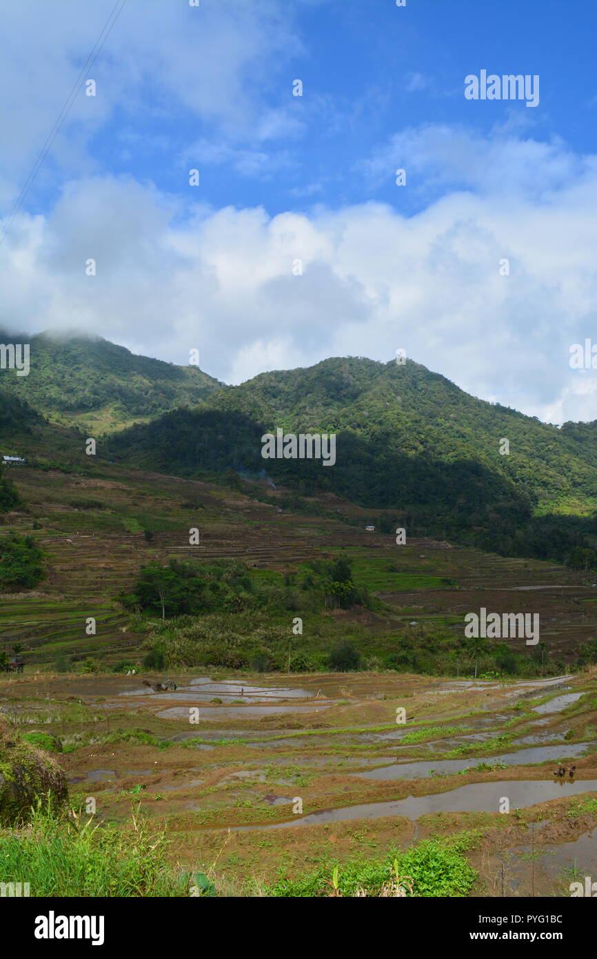 Kiangan High Resolution Stock Photography and Images - Alamy