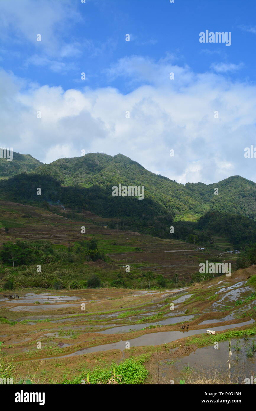 Kiangan High Resolution Stock Photography and Images - Alamy