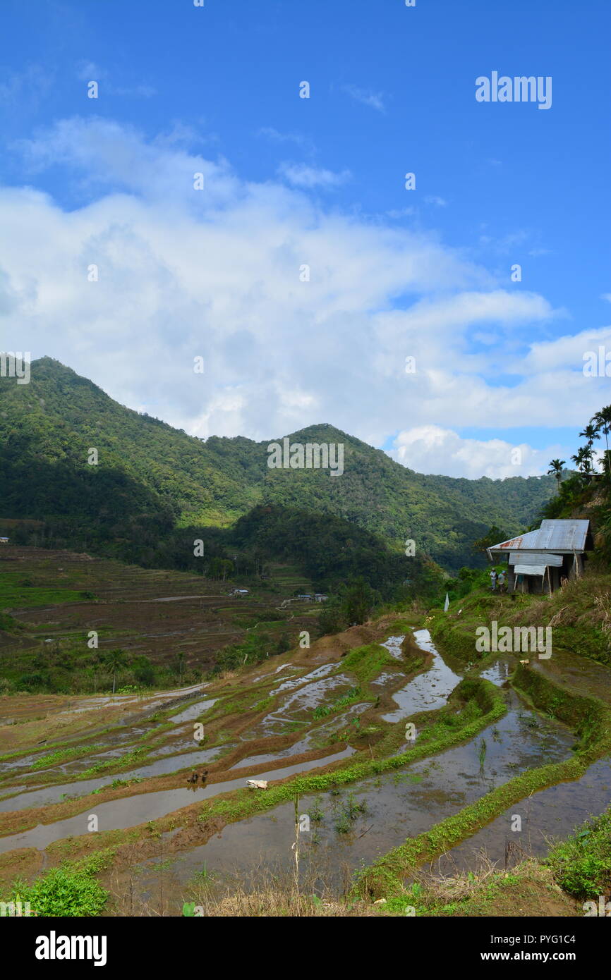 Kiangan High Resolution Stock Photography and Images - Alamy