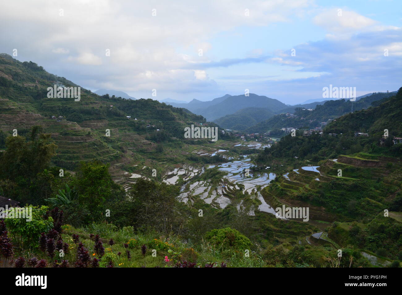 Igorot agriculture hi-res stock photography and images - Alamy