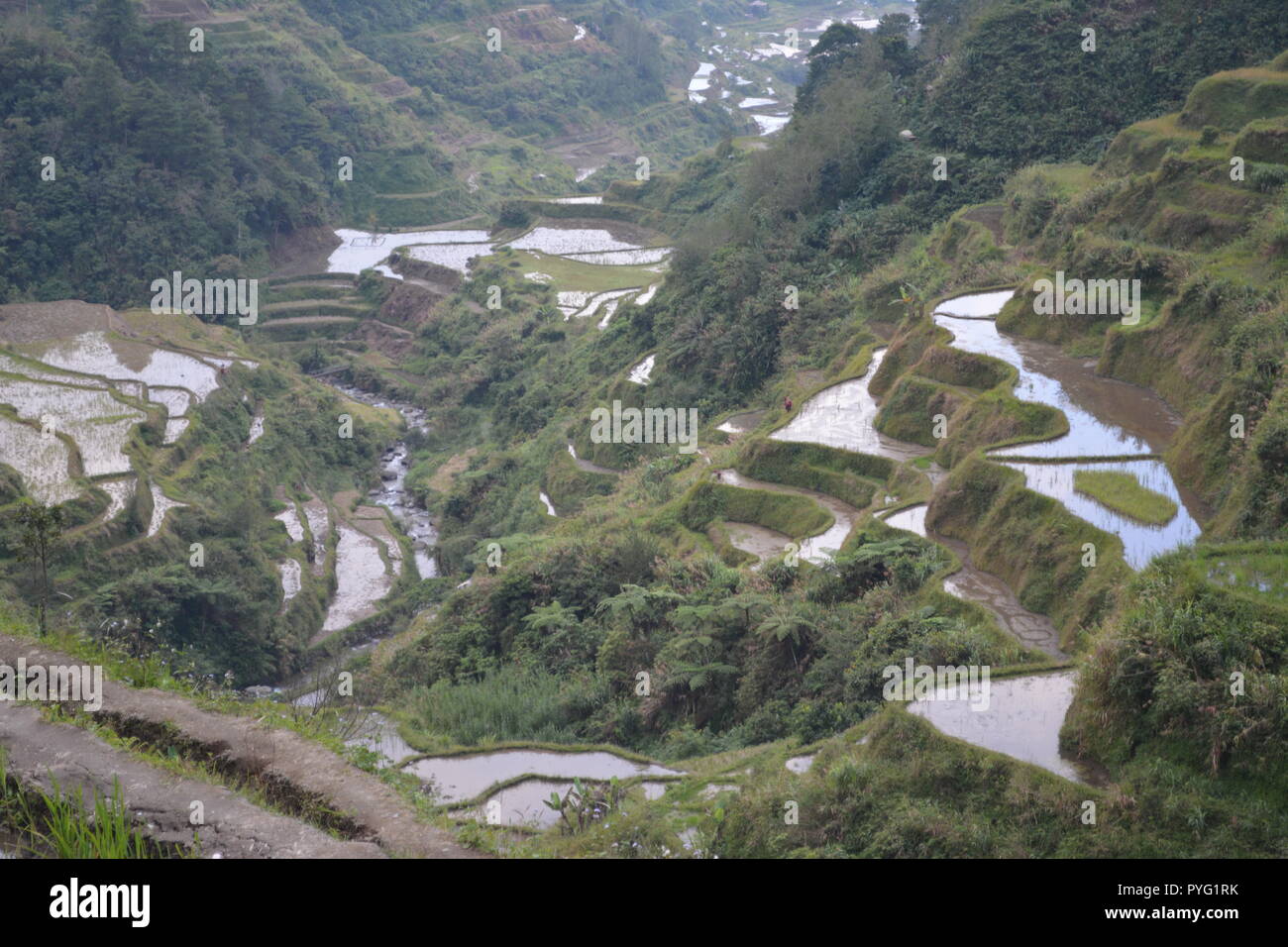 Ifugao rice terraces, philippines hi-res stock photography and images ...