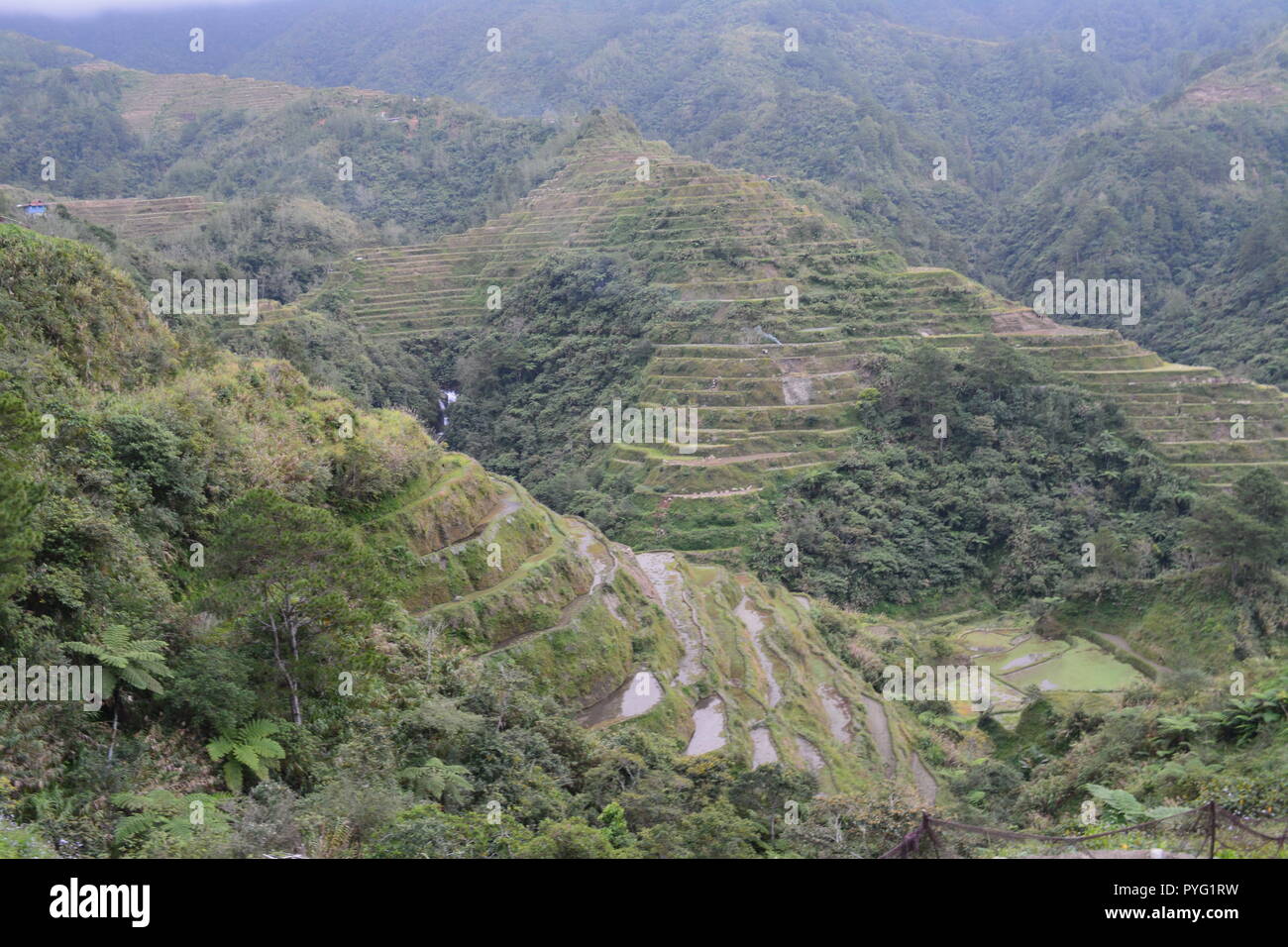 Igorot Agriculture High Resolution Stock Photography and Images - Alamy