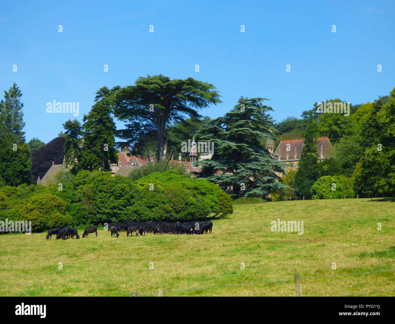 National Trust Tyntesfield House near Bristol, North Somerset, England ...