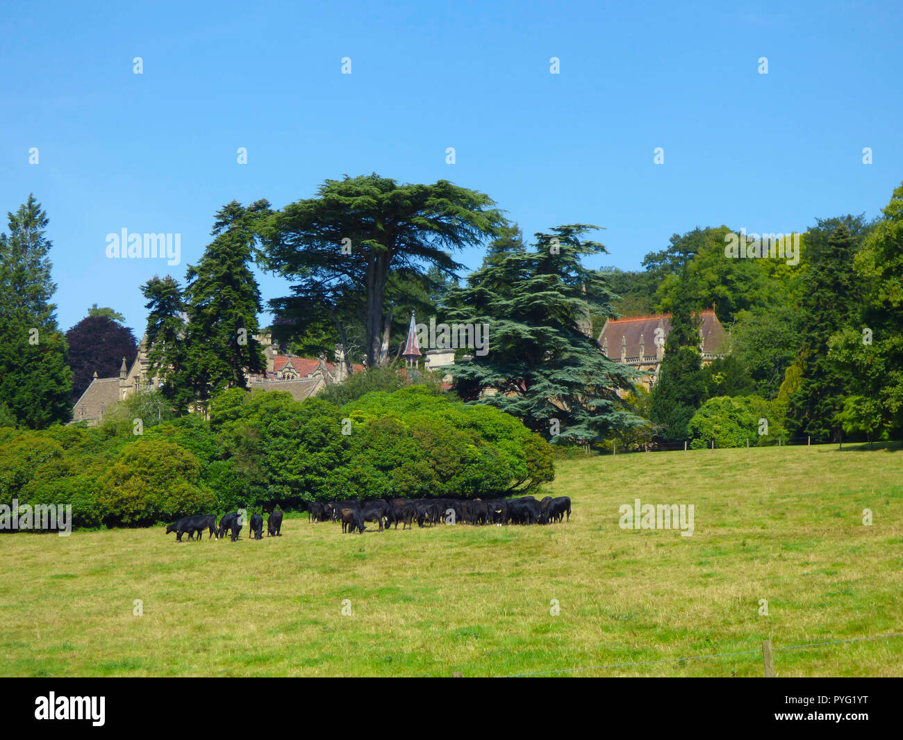Tyntesfield house hi-res stock photography and images - Alamy
