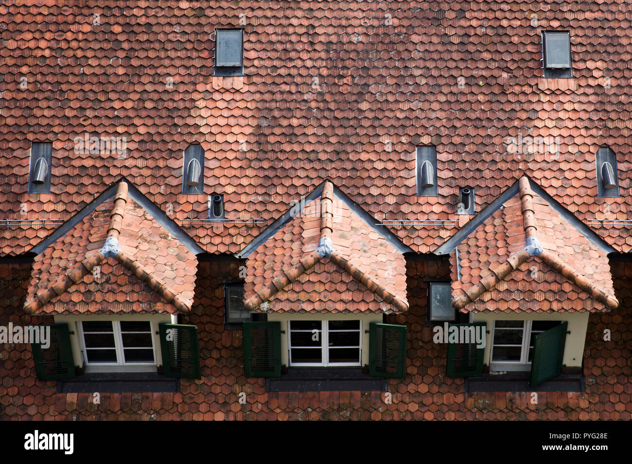 Roof of a traditional house in Bern, Switzerland Stock Photo - Alamy
