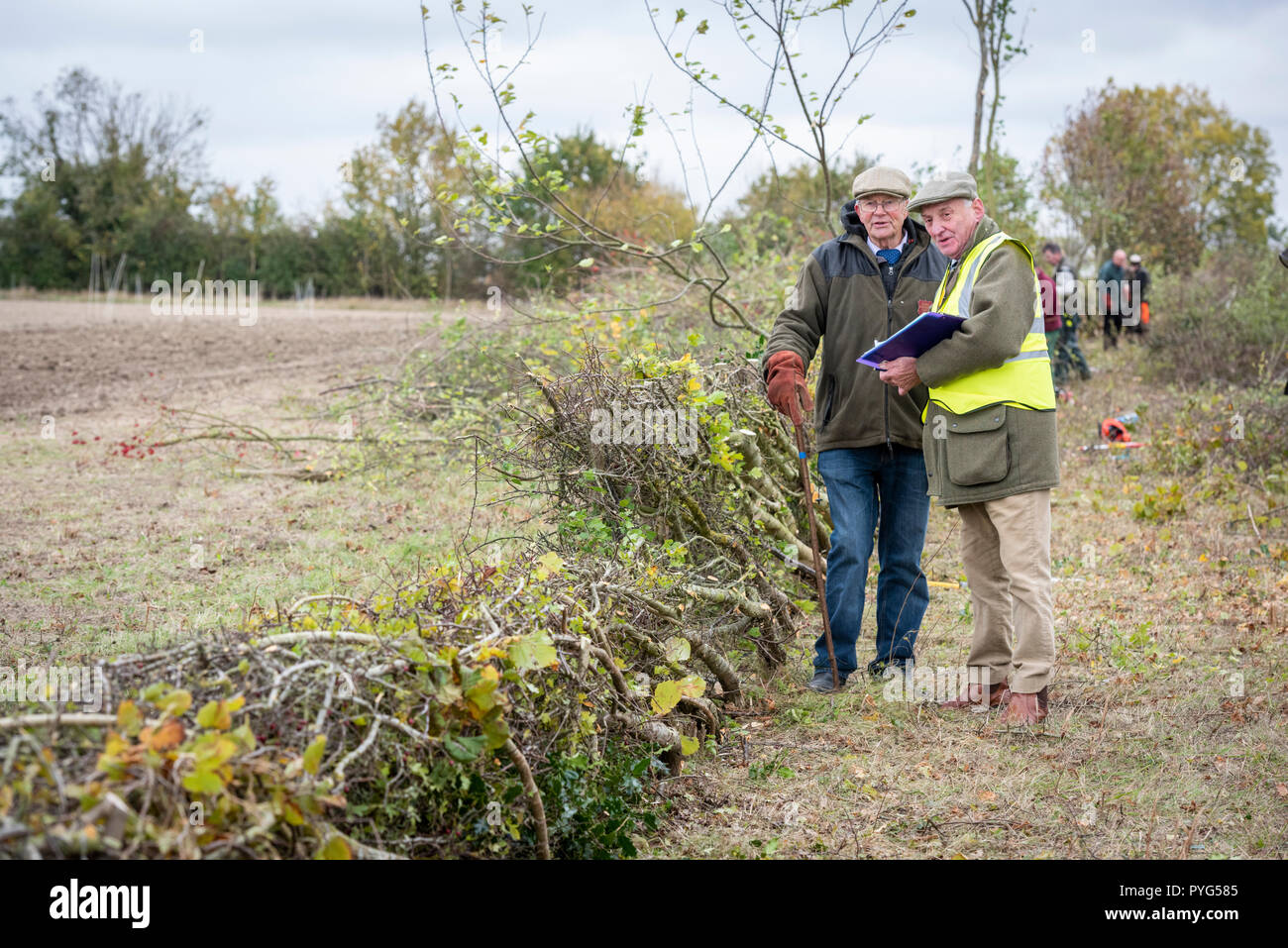 Hedge laying styles hi-res stock photography and images - Alamy