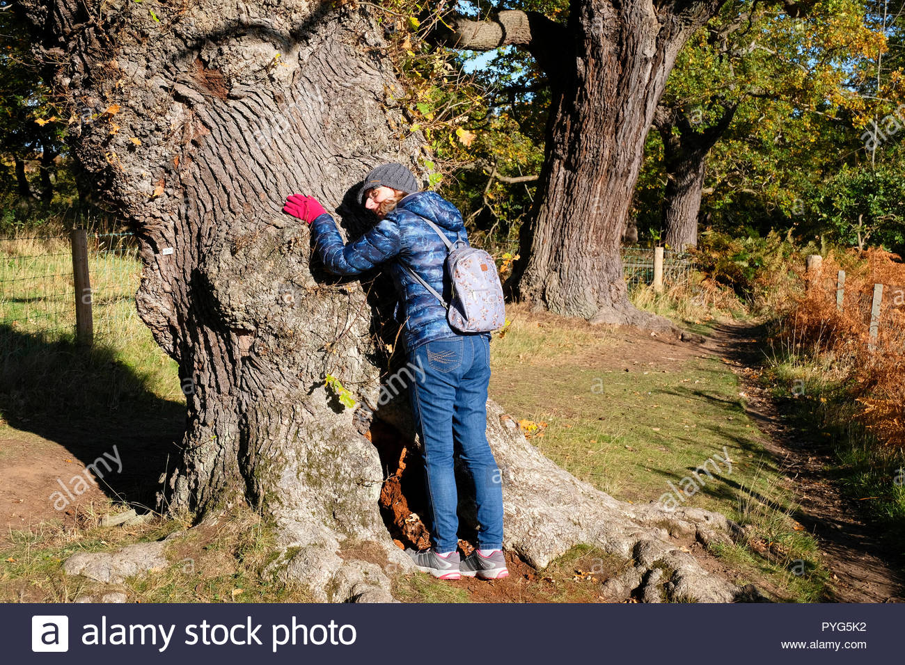 Live hugging tree hi-res stock photography and images - Alamy