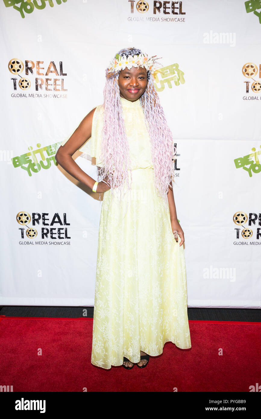 Enny owl hi-res stock photography and images - Alamy