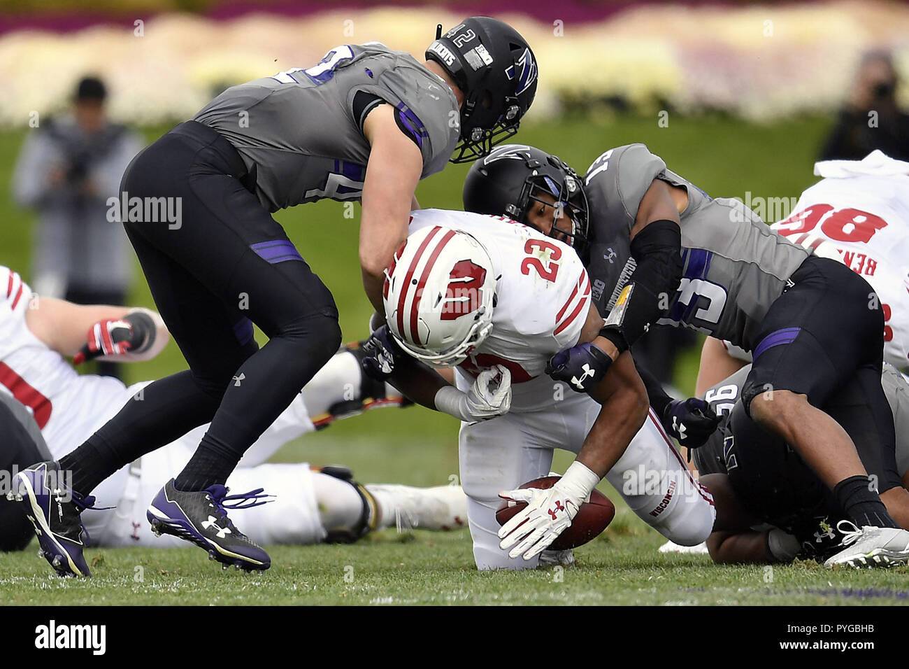 Jonathan taylor badgers hi-res stock photography and images - Alamy