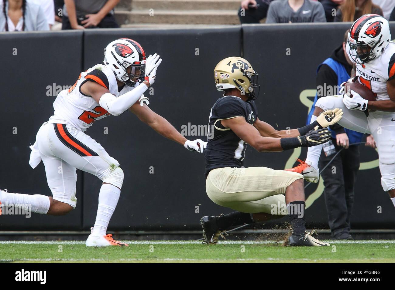 Kabion ento hi-res stock photography and images - Alamy