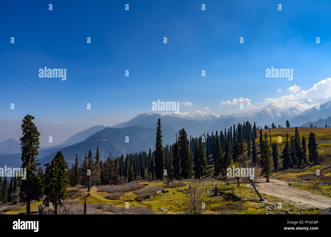 Kashmir Gulmarg Summer High Resolution Stock Photography and Images - Alamy