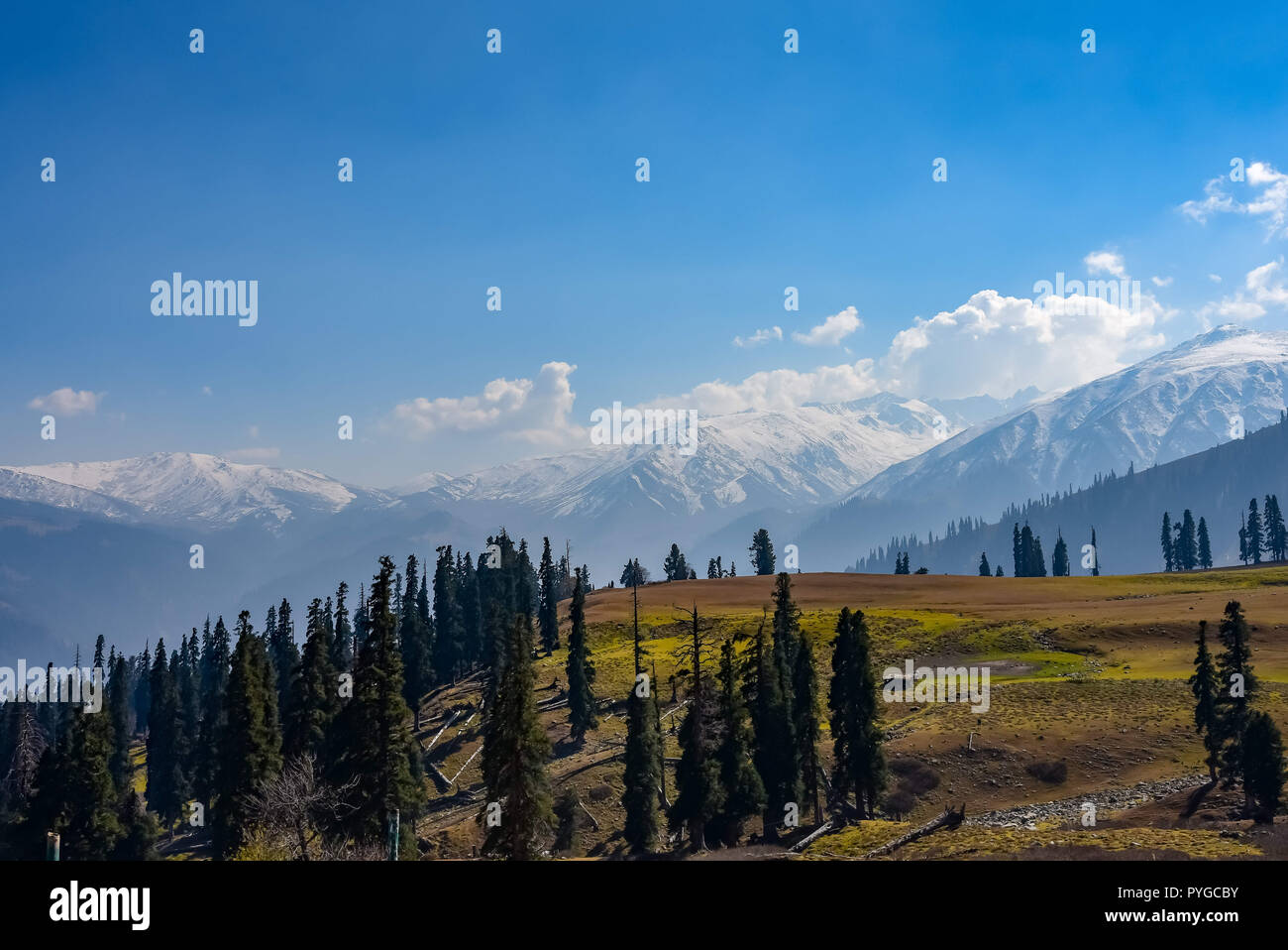 Kashmir Gulmarg Summer High Resolution Stock Photography and Images - Alamy