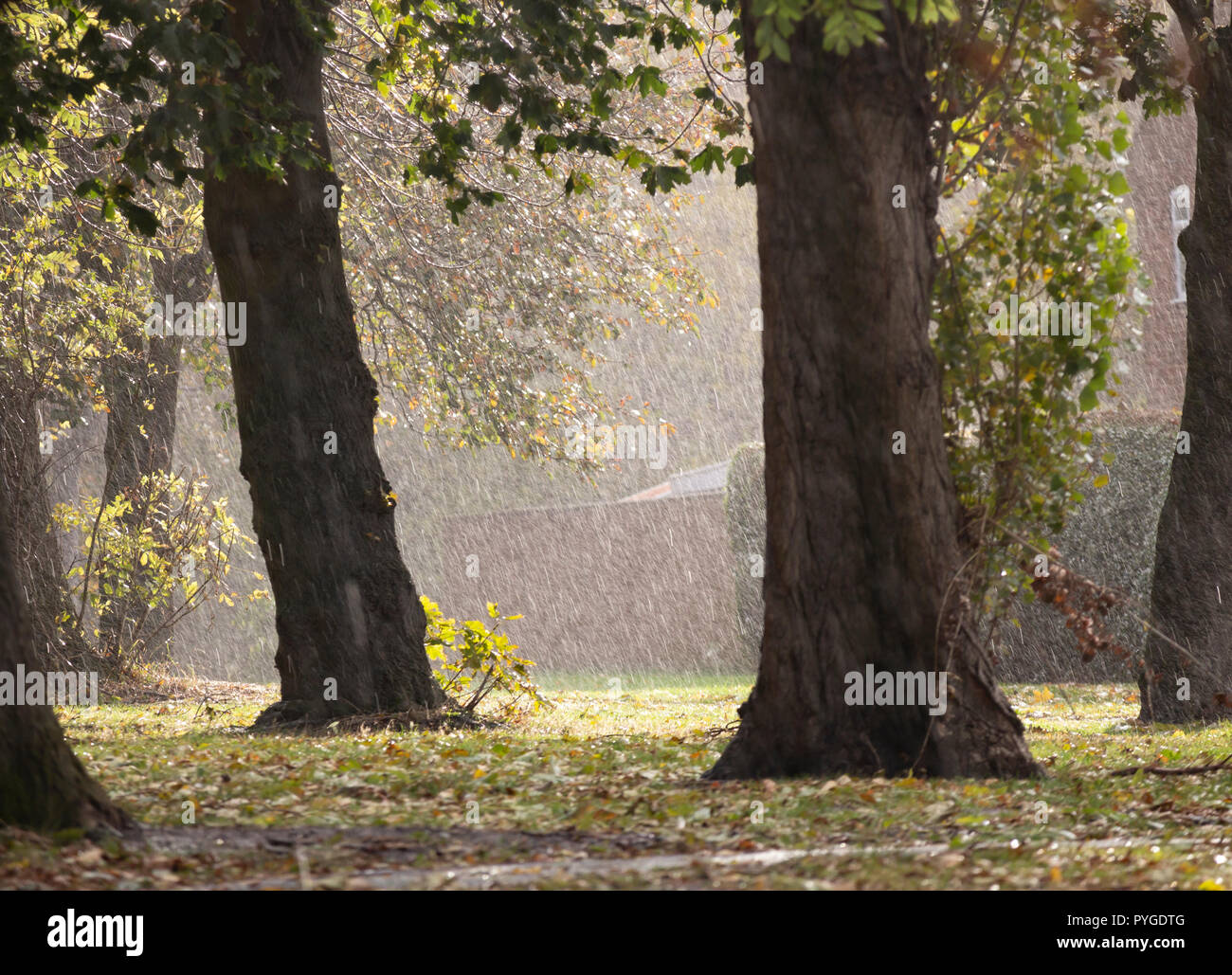Uk hail shower hi-res stock photography and images - Alamy