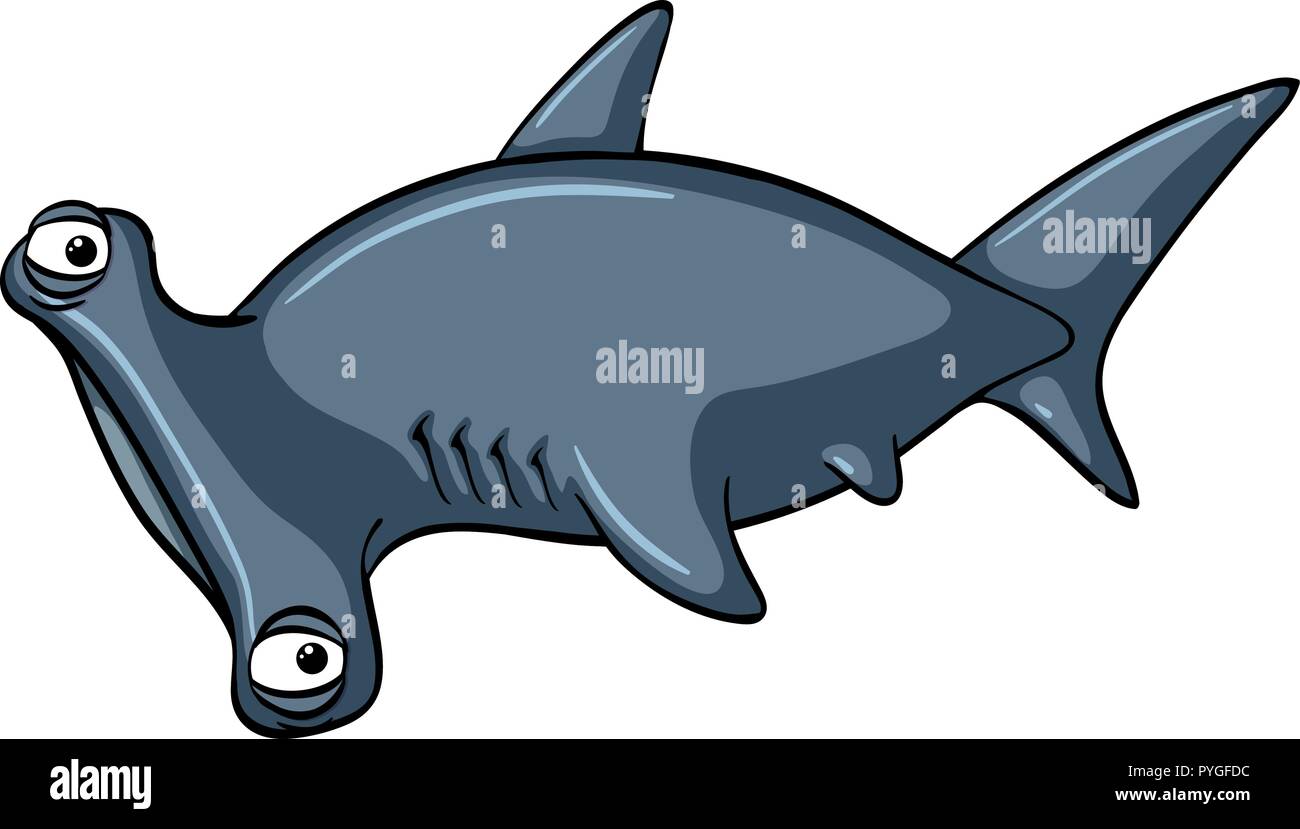 Hammerhead shark on white background illustration Stock Vector Image ...