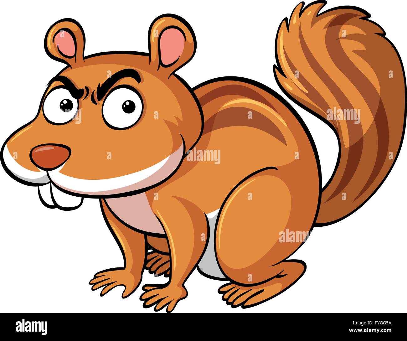 Squirrel angry hi-res stock photography and images - Alamy