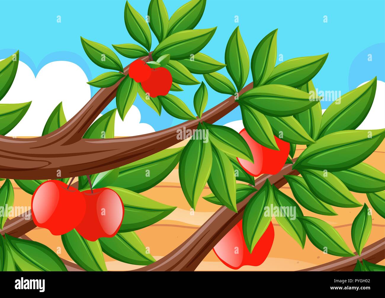 Apples on tree fresh Stock Vector Images - Alamy