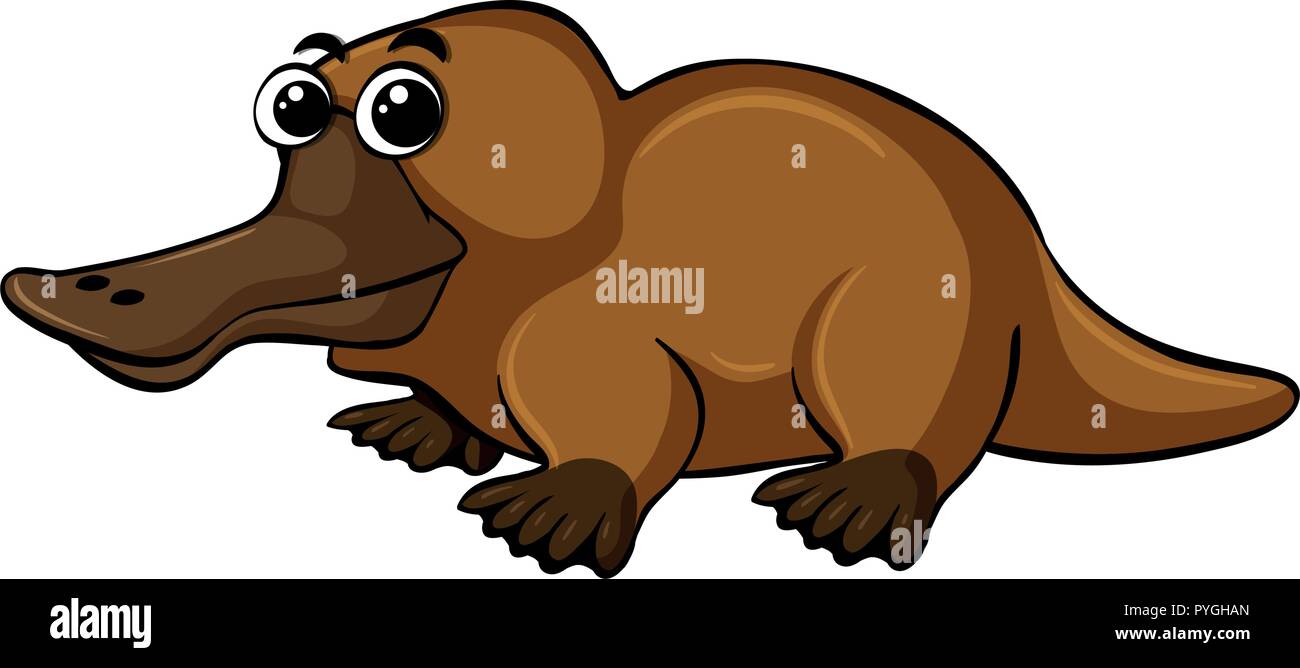 Platypus with happy face illustration Stock Vector Image & Art - Alamy