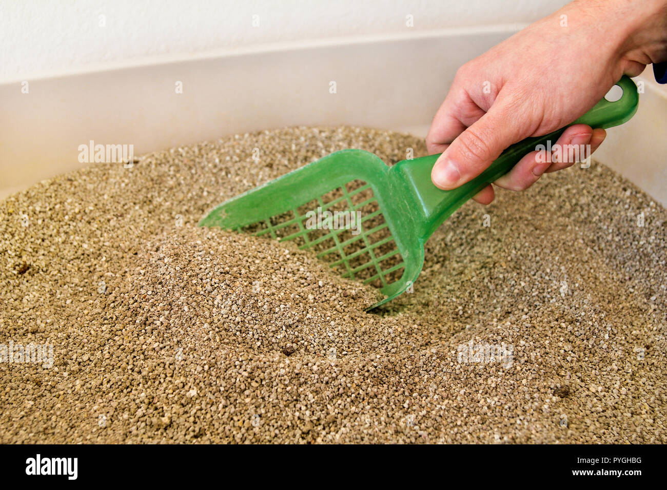 Cleaning cat litter box. Hand is cleaning of cat litter box with green ...