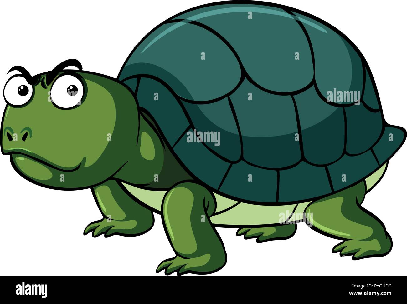 Turtle face drawing Stock Vector Images - Alamy