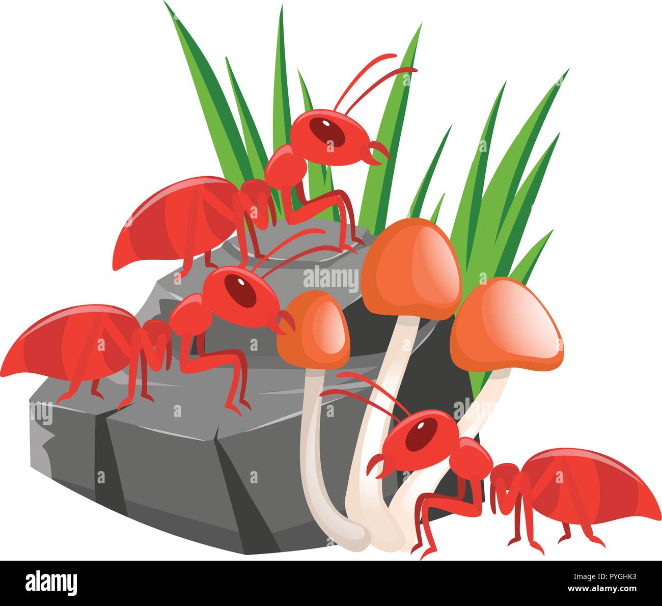 Three red ants on the rock illustration Stock Vector Image & Art - Alamy