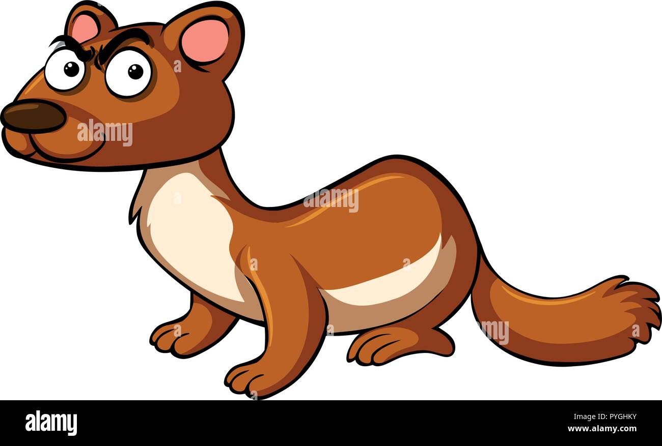 Mongoose face Cut Out Stock Images & Pictures - Alamy